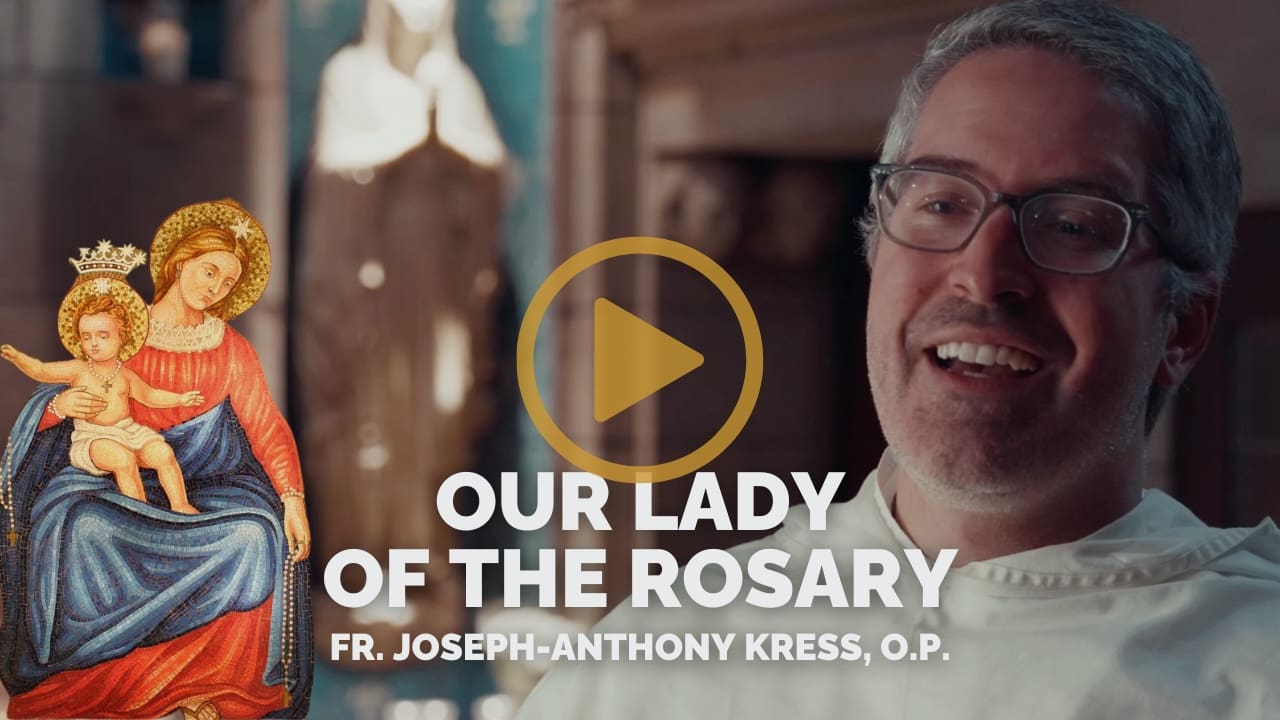 Feast of Our Lady of the Rosary | Reflection by Fr. Joseph-Anthony ...